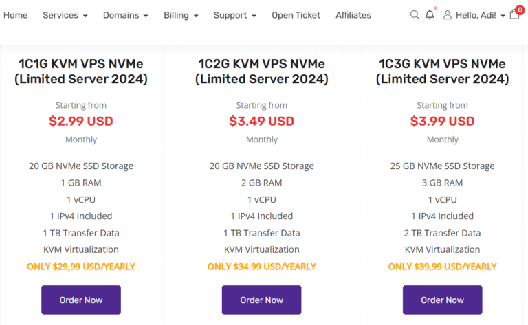 Review OrangeVPS: VPS Murah Dengan Performa yang stabil